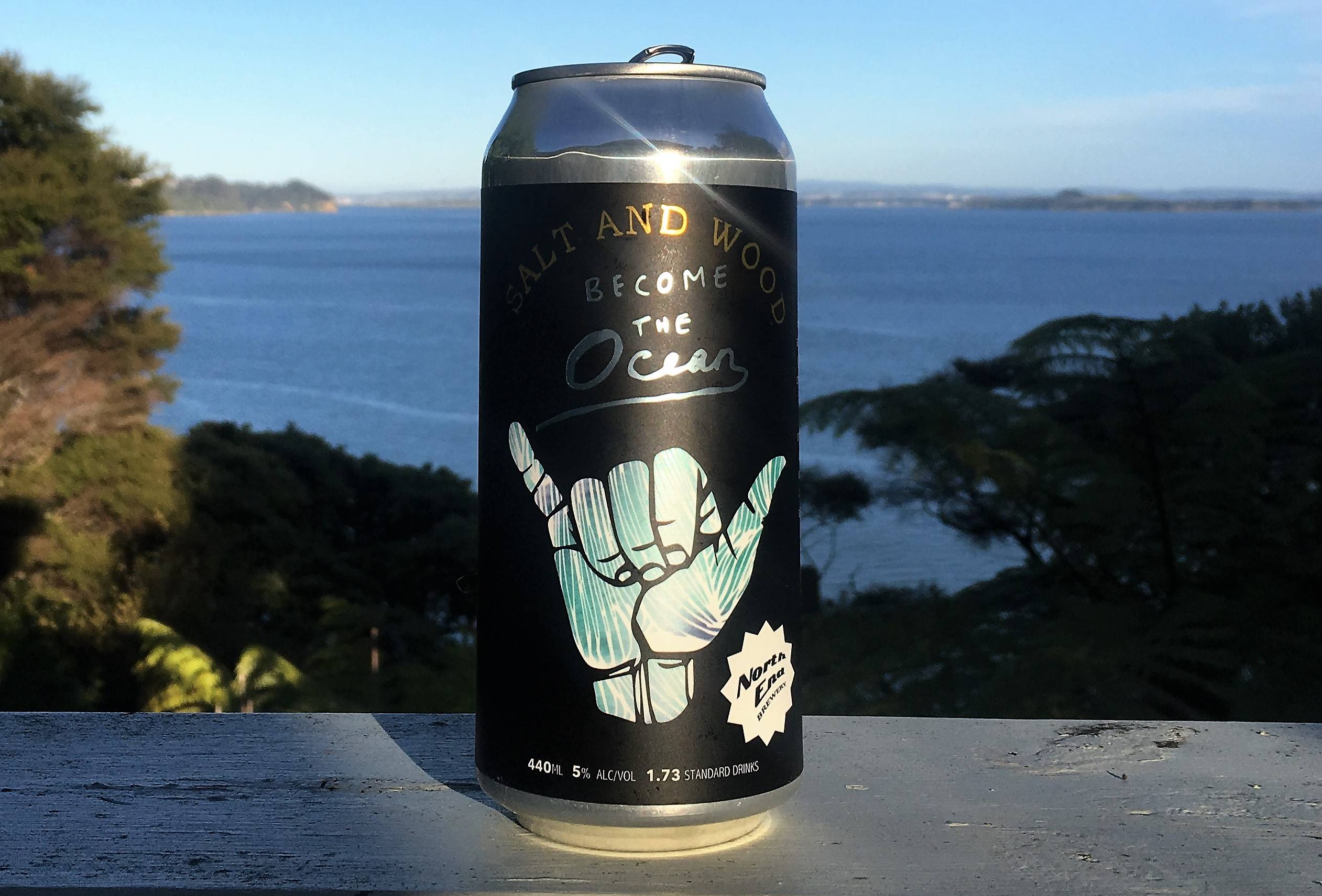 Salt in the malt: a quick guide to Gose — Pursuit of Hoppiness